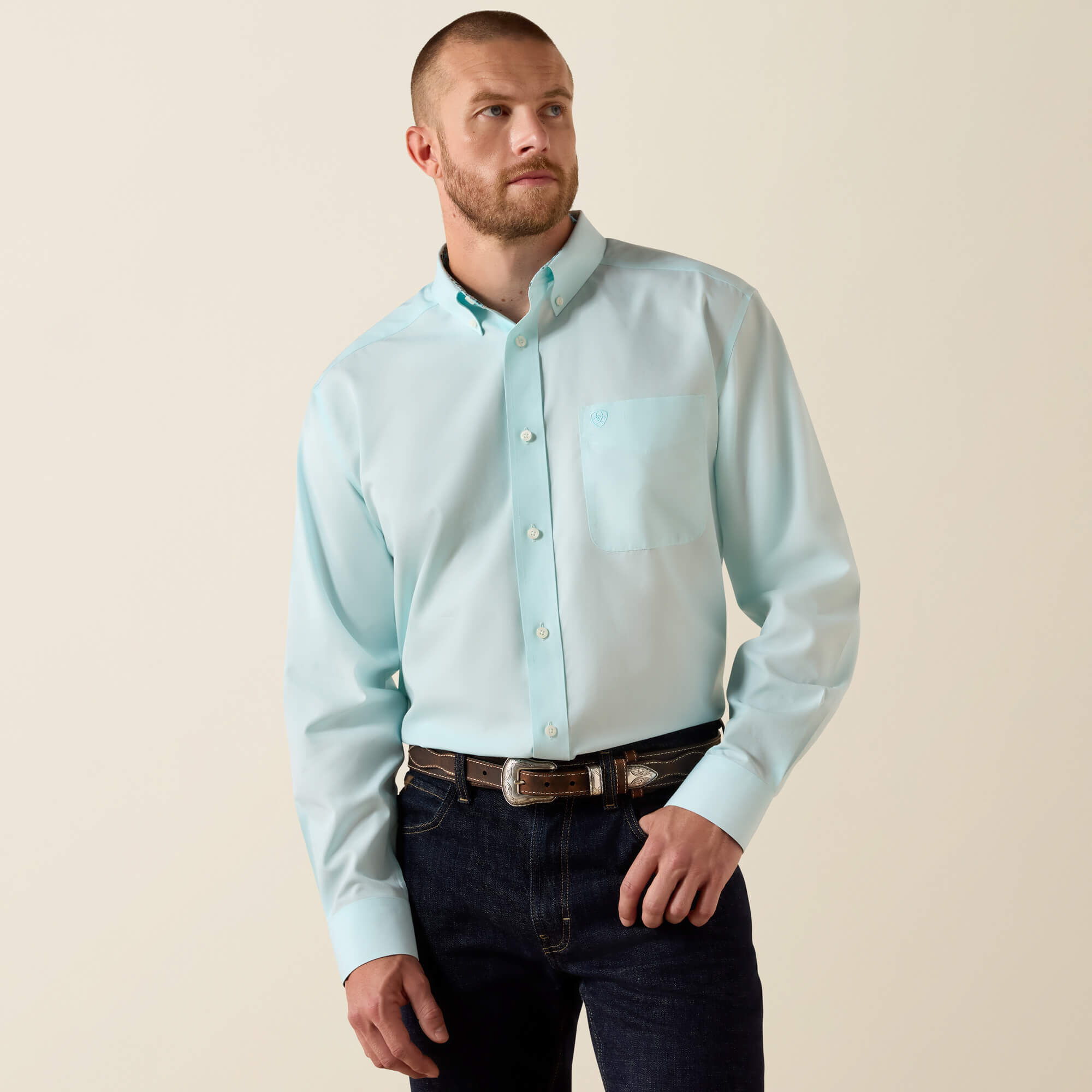 Buy WF SOLID PINPOINT OXFORD LS SHRT - Ariat Online at Best price - TN